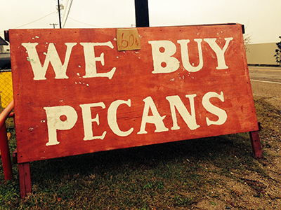 We Buy Pecans - CANE RIVER PECAN COMPANY
